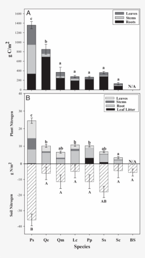 Plant Carbon Allocation After Six Growing Seasons - Diagram PNG Image ...
