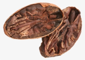 Peru Organic Cocoa Beans 1 Kg - Aztec Cocoa Beans PNG Image ...