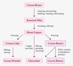The Process Involves Harvesting Cocoa, Refining Cocoa - Process Of ...