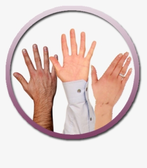 Hand Raising Circle - Massachusetts PNG Image | Transparent PNG Free ...