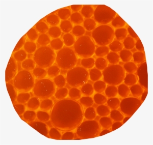 Honeycomb - Bfdi Honey Comb PNG Image | Transparent PNG Free Download ...