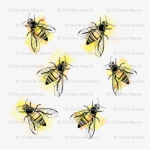 Bees Transparent Watercolor - Honey Bee On Flower Drawing PNG Image ...