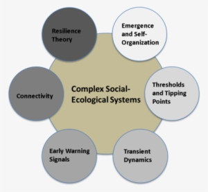 Complexity Theory - Complexity Theory Of Organization PNG Image ...