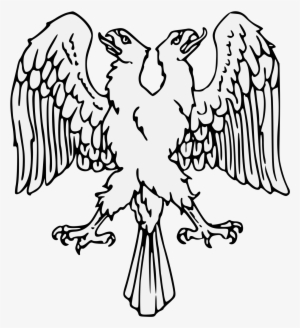 Details, Png - Beak PNG Image | Transparent PNG Free Download on SeekPNG