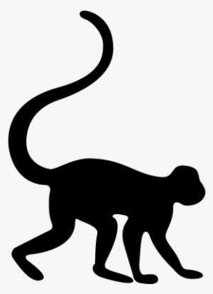 Monkey Facing Right Vector - Icon Monkey PNG Image | Transparent PNG ...