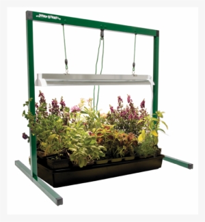 White Grow Light PNG Image | Transparent PNG Free Download on SeekPNG