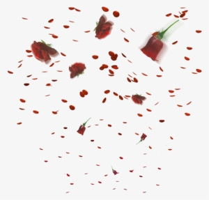 Floating Flower Png - Illustration PNG Image | Transparent PNG Free ...
