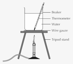 Download Boiling Water With A Bunsen Burner | Transparent PNG Download ...