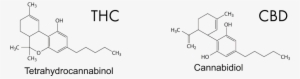 Structural Formulas Thc -cbd - Thc Vs Cbd Formula PNG Image ...