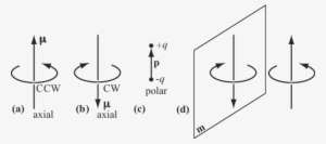 Shows An Electrical Dipole Moment Vector - Axial Vector PNG Image ...