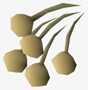 Onion Seed Detail - Onion Seed Osrs PNG Image | Transparent PNG Free ...