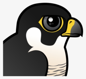 About The Peregrine Falcon - Peregrine Falcon Cartoon PNG Image ...