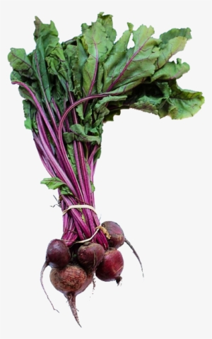 2 Bunches Beets - Common Beet PNG Image | Transparent PNG Free Download ...