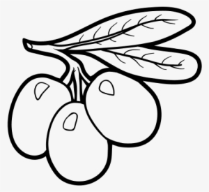Olives Coloring Page PNG Image | Transparent PNG Free Download on SeekPNG