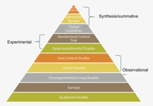 Roman Senate Hierarchy