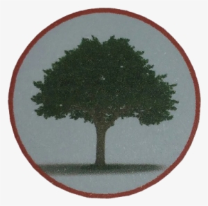 Neem Tree Png PNG Images | PNG Cliparts Free Download on SeekPNG