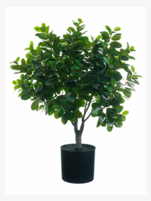 34" East Ficus Ball Topiary In Pot Green - Silk Plants Direct Ficus ...