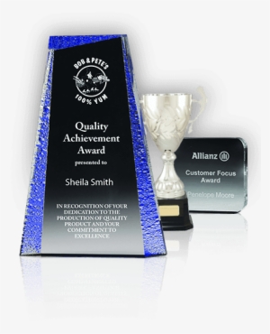 Engraving Client Raves Contact Us - Trophy PNG Image | Transparent PNG ...
