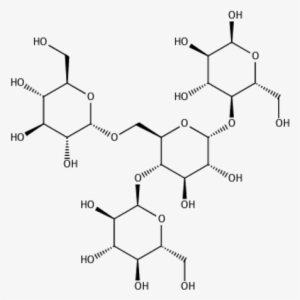 The Structure And Function Of Glycogen - Carbohydrates Structure PNG ...