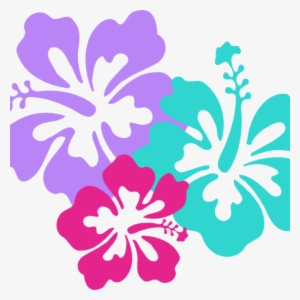 Simple Hawaiian Flower Drawing - Hibiscus Clip Art PNG Image ...