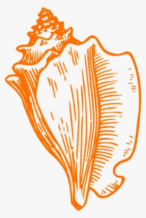 Orange Clipart Seashell - Conch Shell Clip Art PNG Image | Transparent ...