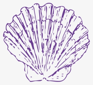Purple Seashell Png Clipart Stock - Transparent Background Blue ...