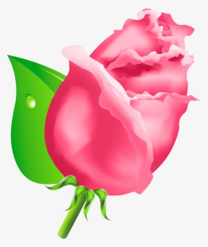 Transparent Rose With Buds Transparent Background - Beautiful Flowers ...