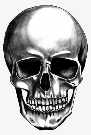 Skull Png PNG Images | PNG Cliparts Free Download on SeekPNG