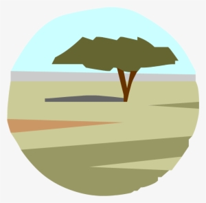 Savanna - Tropical Rainforest PNG Image | Transparent PNG Free Download ...