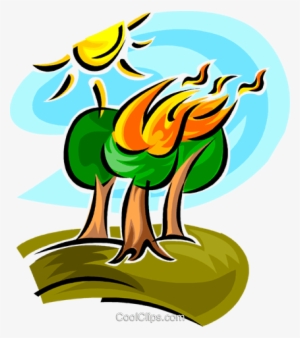 Forest Fire - Forest Fire Clip Art PNG Image | Transparent PNG Free ...