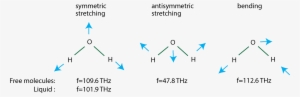 Vibrational Modes Of A Water Molecule - 3 Vibrational Modes Of Water ...