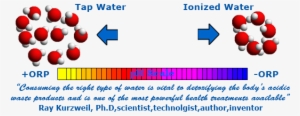 Orp Description - Ionized Water Molecule PNG Image | Transparent PNG ...