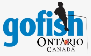 Go Fish Ontario PNG Image | Transparent PNG Free Download on SeekPNG