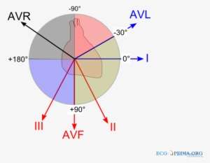 Ecg Vector Heart Monitor Line - Ecg Bipolar Limb Leads PNG Image ...