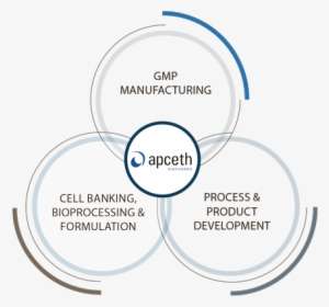 Gmp Logo Png - Good Manufacturing Practice Logo PNG Image | Transparent ...