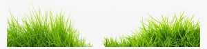 Gallery/grass Png Download Png Image Grass Png - Green Grass Png ...