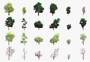 Trees - 2d Trees PNG Image | Transparent PNG Free Download on SeekPNG