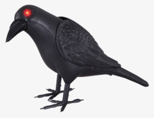 Halloween Crow Vector Free Download Transparent Png - Animated Crow PNG ...