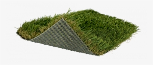 Description - Artificial Turf PNG Image | Transparent PNG Free Download ...