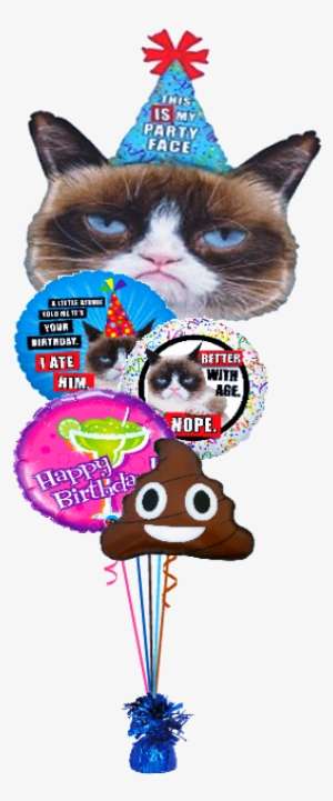 Grumpy Cat Poop Bouquet - Grumpy Cat Better With Age Balloon PNG Image ...