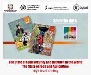 Fao - United Nations Redd Programme PNG Image | Transparent PNG Free ...