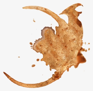 Coffee Bean Stain - Stain PNG Image | Transparent PNG Free Download on ...