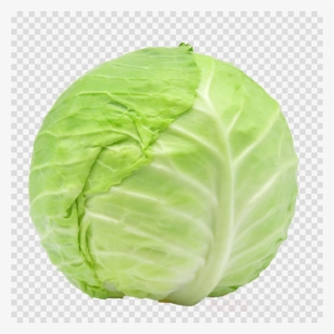 Cabbage Png Clipart Cabbage Leaf Vegetable Cauliflower - Iphone Emoji ...