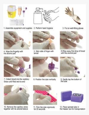 Illustration For Capillary Blood Sampling - Lilac PNG Image ...