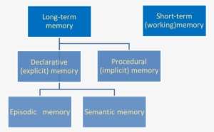 Memory Chart - Colorfulness PNG Image | Transparent PNG Free Download ...