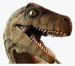 Raptor Head - Die Saurier-revolution [regio Free (0)] Blu-ray 3d PNG ...