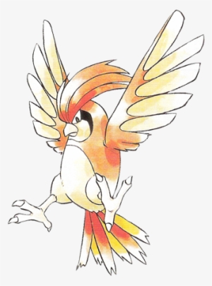 Pidgey - Pidgey Png PNG Image | Transparent PNG Free Download on SeekPNG