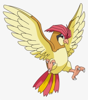 0 Yorum - Pidgeotto Transparent PNG Image | Transparent PNG Free ...