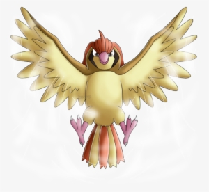 Pigiotto - Pidgeotto Png PNG Image | Transparent PNG Free Download on ...