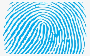 Fingerprint-pa - Fingerprint Vector PNG Image | Transparent PNG Free ...